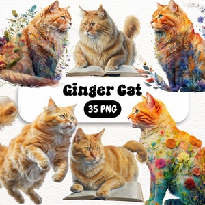 Ginger Cat Clipart, Ginger Cat PNG, Ginger Cat Illustration, Cat ...