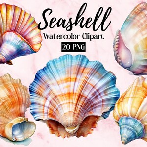 Sea Shell Clipart | Watercolor Seashell PNG | Summer Beach Clipart ...
