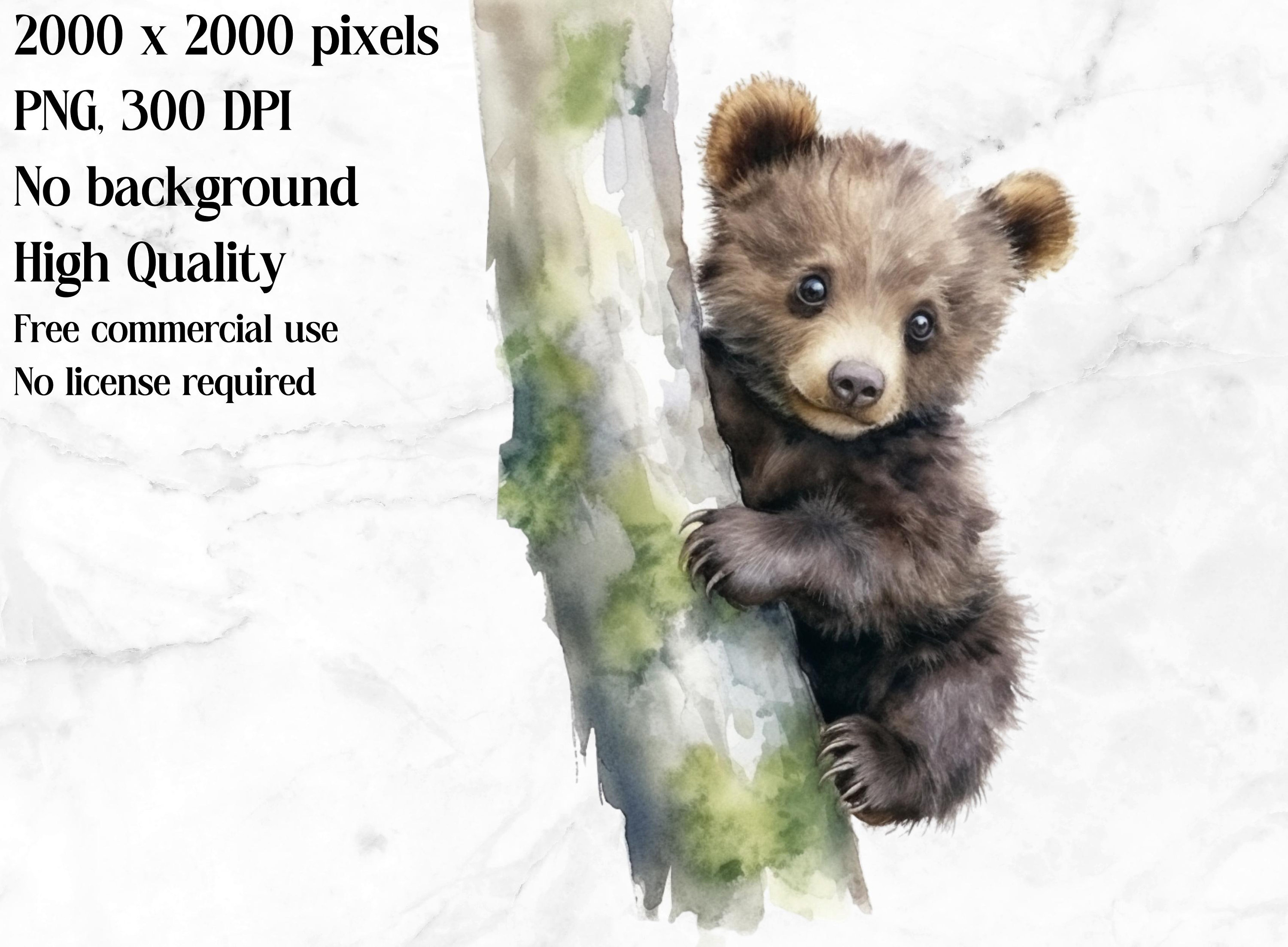 Baby Bear Clipart | Watercolor Clipart Bear | Woodland Animals | Cute ...