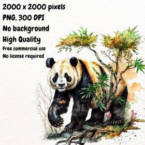 Watercolor Cute Pandas Clipart | Adorable, Cute Panda, Baby Panda ...