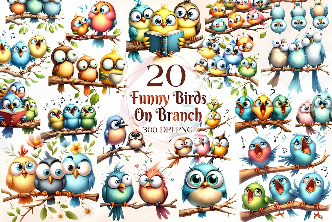 Funny Birds on Branch Clipart 20 Png, Cute Caricature Songbirds, Quirky ...