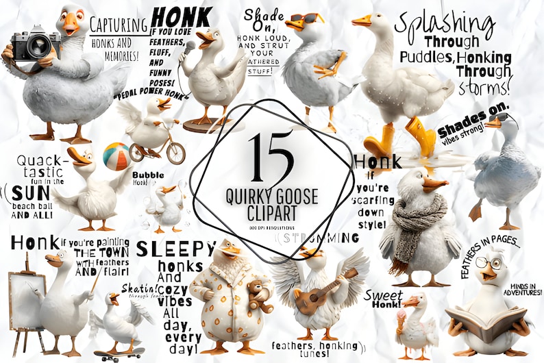 Quirky Funny Goose Clipart -goofy Goose Birds, Silly Gulls Watercolor ...