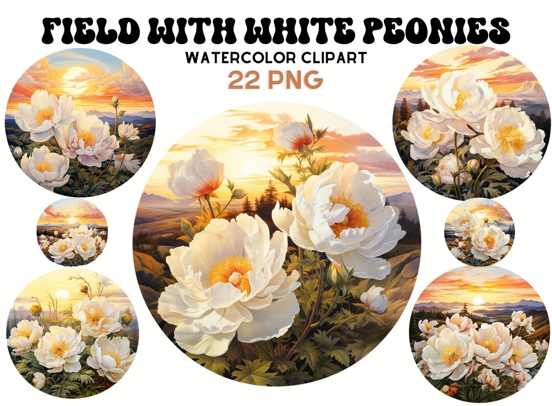 Watercolor White Peonies Flowers Fields Clipart, Commercial Use Clipart ...