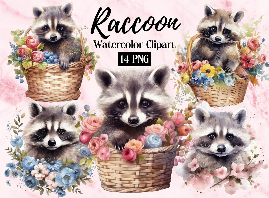 Raccoon Clipart | Watercolor Woodland Animals Clipart | Baby Animals ...