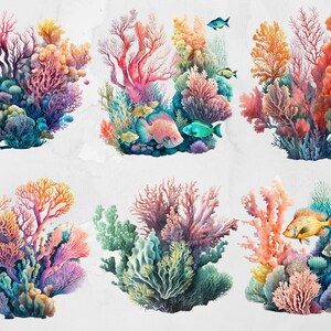 Coral Reef Clipart, Nautical Clipart. Ocean Clipart. Sea Clip Art, Png ...