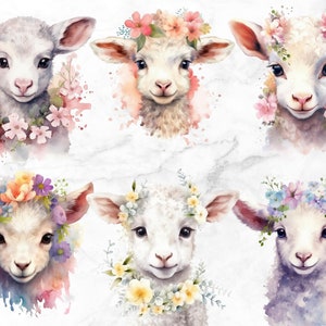 Floral Baby Lamb Clipart | Floral Spring Lamb PNG | Baby Animals ...