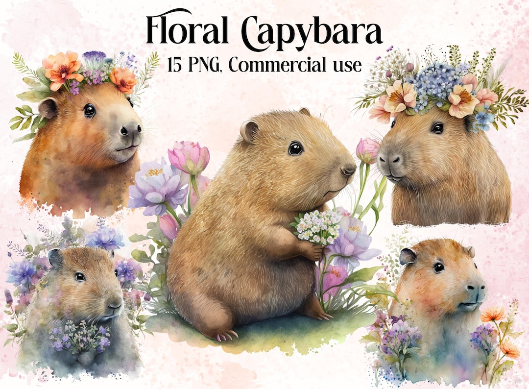 Floral Capybara Clipart, Capybara Digital Illustration ,digital ...