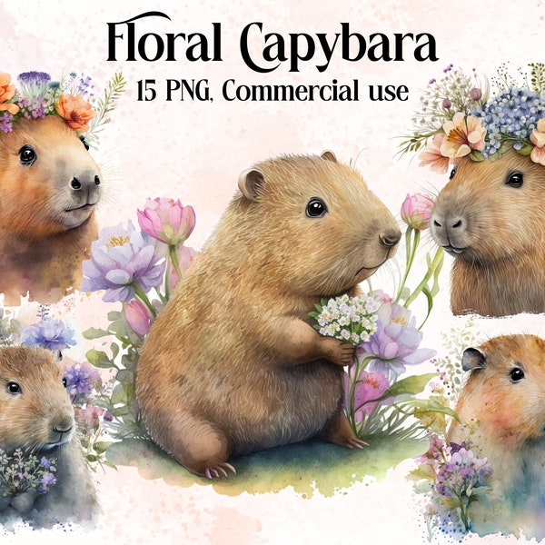 Cute Capybara Clipart - Etsy