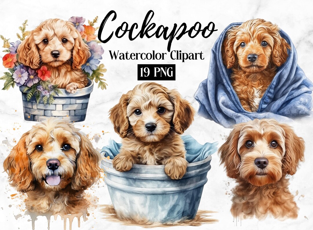 Cockapoo Clipart | Cute Dog Clipart | Dog PNG | Watercolor Cockapoo PNG ...