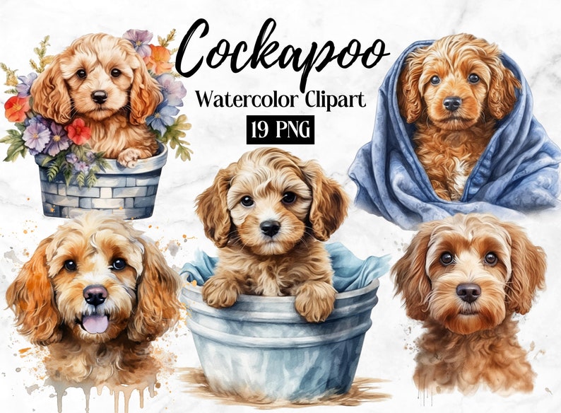 Cockapoo Clipart Cute Dog Clipart Dog PNG Watercolor - Etsy