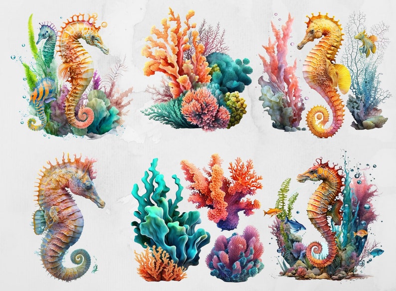 Seahorse Clipart, Nautical Clipart. Ocean Animal. Sea Animals Clip Art ...