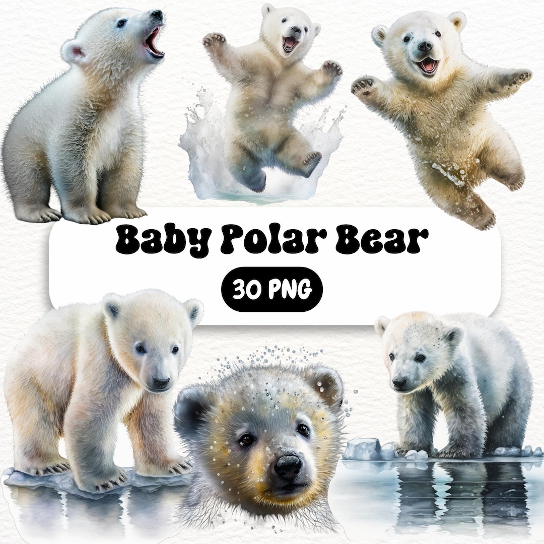 Cute Baby Polar Bear Clipart Bundle - 9 High Quality Jpgs - Digital ...