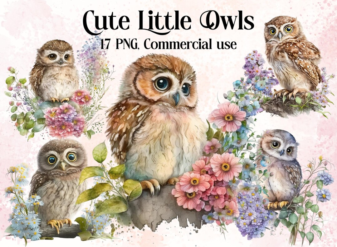 Cute Little Owl Clipart,baby Owl Png, Magic Clip Art, Mystical Clipart ...
