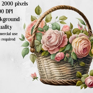 Watercolour Vintage Pink Rose Clipart - Vintage Lady PNG Digital Image ...