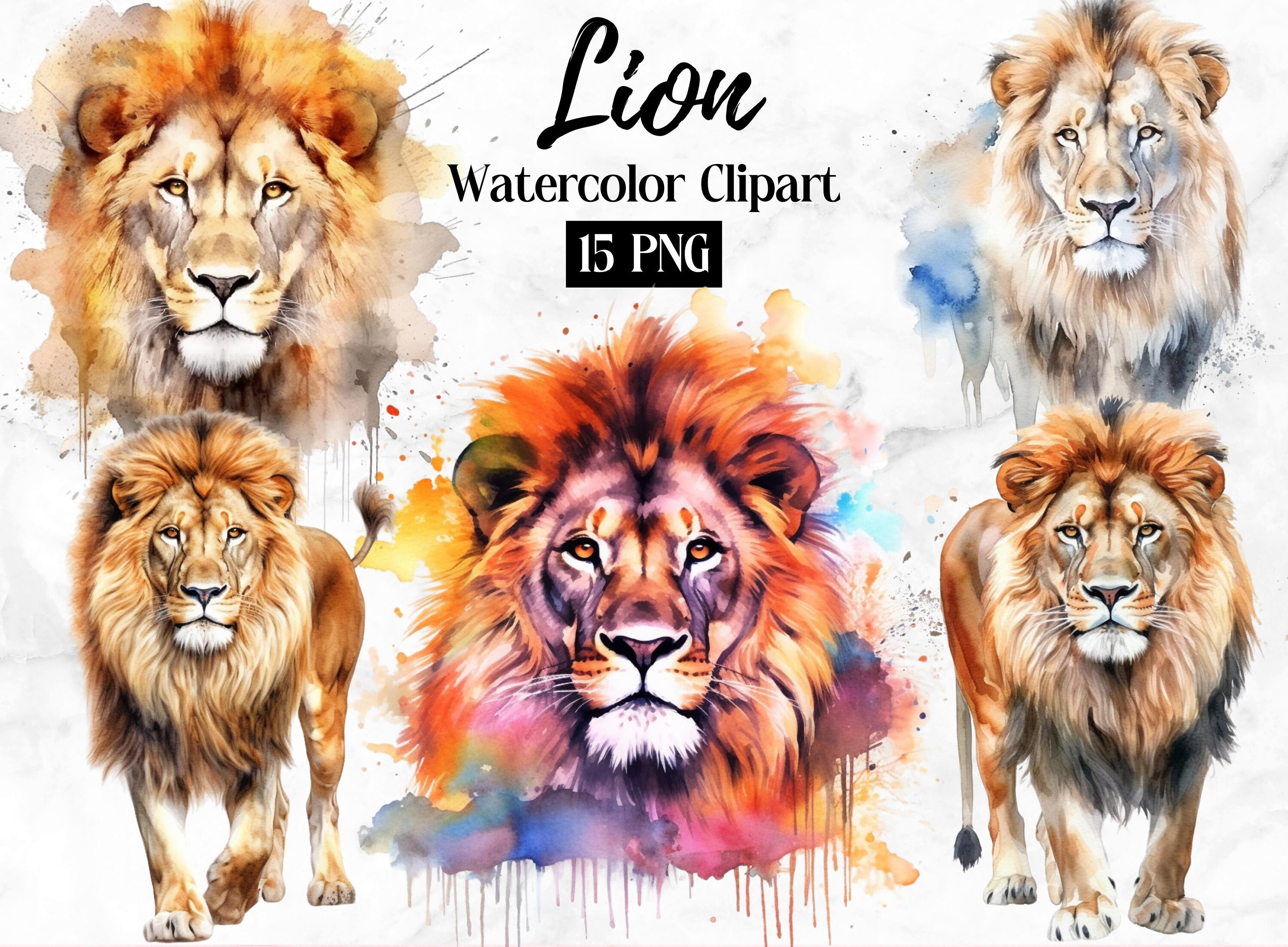 Lion Clipart Watercolor Lion PNG Safari Animals Clipart - Etsy