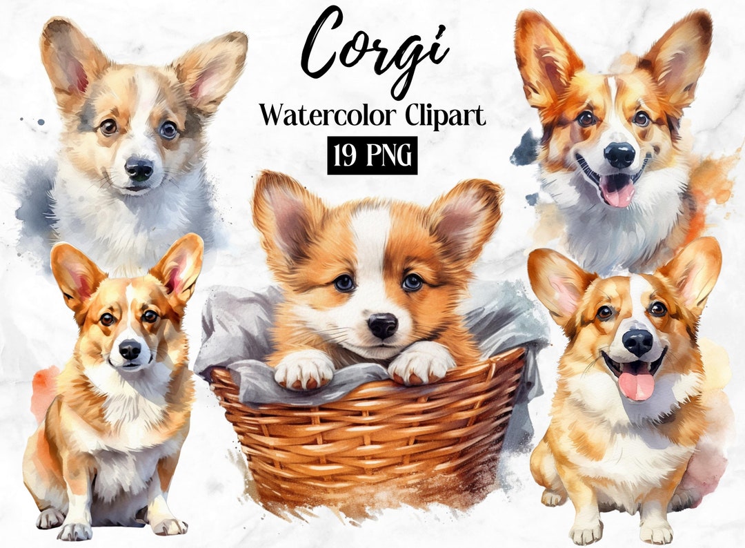 Corgi Clipart - 19 High Quality Pngs - Digital Download - Card Making ...