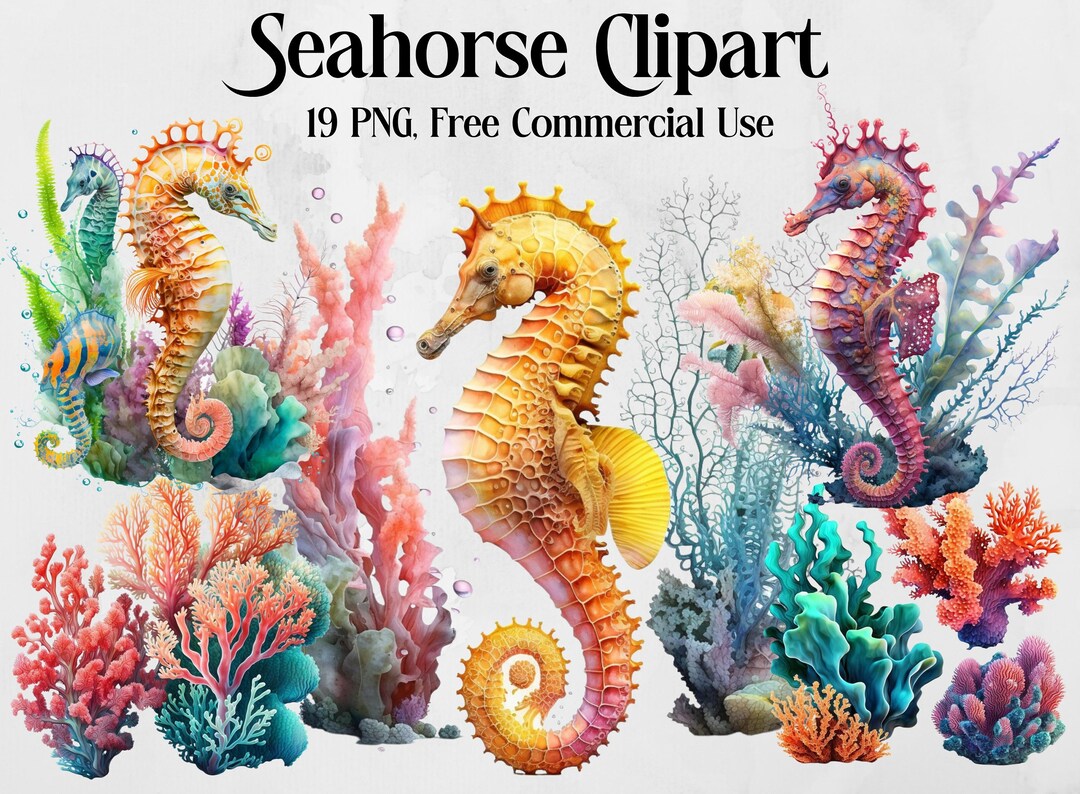 Seahorse Clipart, Nautical Clipart. Ocean Animal. Sea Animals Clip Art ...