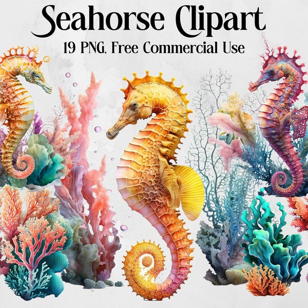Seahorse Watercolor - Etsy