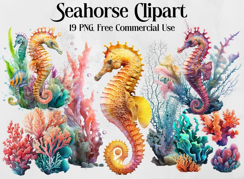 Seahorse Clipart Nautical Clipart. Ocean Animal. Sea Animals - Etsy
