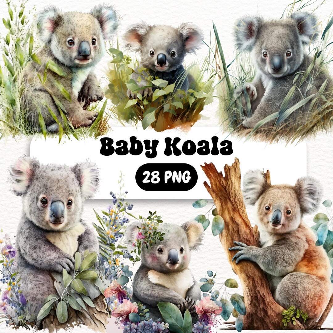 Baby Koala Clipart Set in Transparent PNG - Baby Koala Watercolor ...