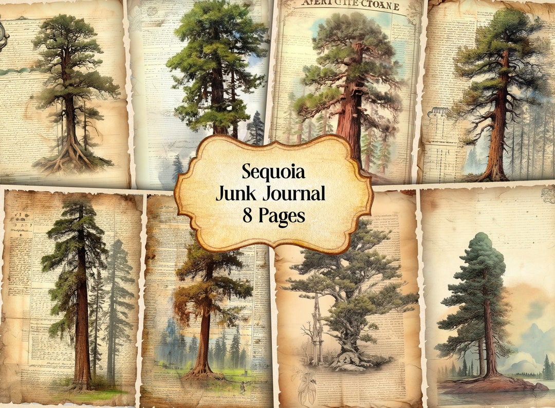 Sequoia Tree Junk Journal Kit, Vintage Giant Sequoia Journal Pages ...