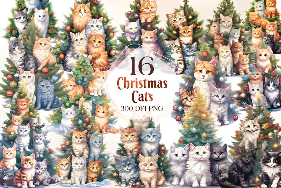 16 Christmas Cats Clipart, Pngs,digital Download, Commercial Use, Mixed ...