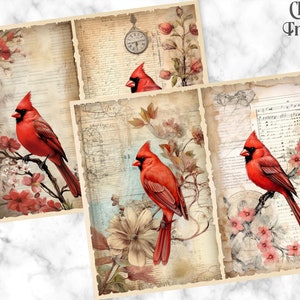 Watercolor Red Cardinal Junk Journal Printable Page, Red Cardinal Junk ...