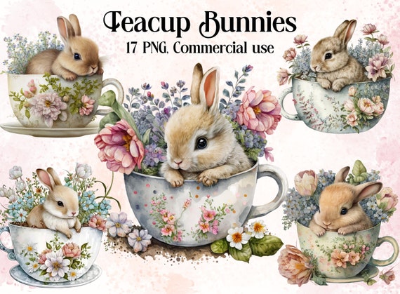 Teacup Bunnies