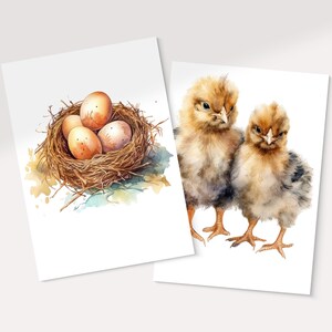 Watercolor Chicken PNG | Baby Animals | Baby Chick Clipart | Farm ...