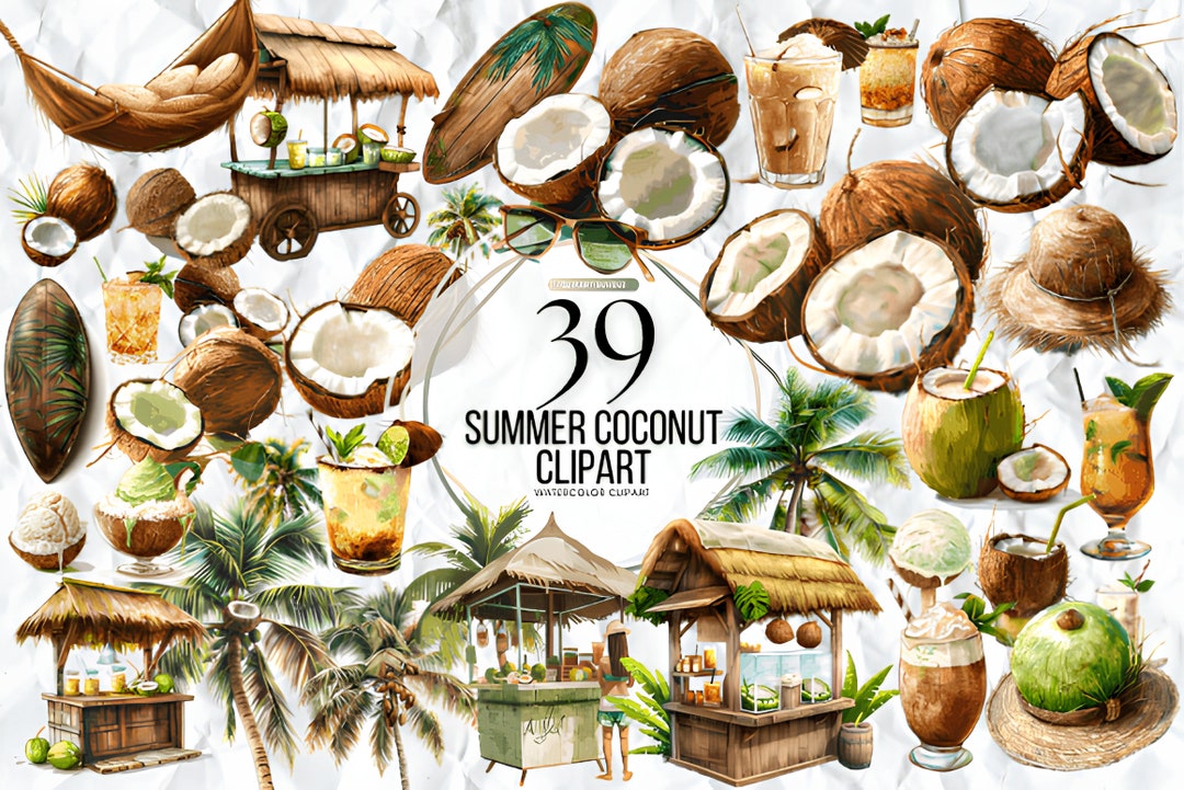 Coconut Watercolor Clipart, Summer Fruit Clip Art, Tropical Leaves ...