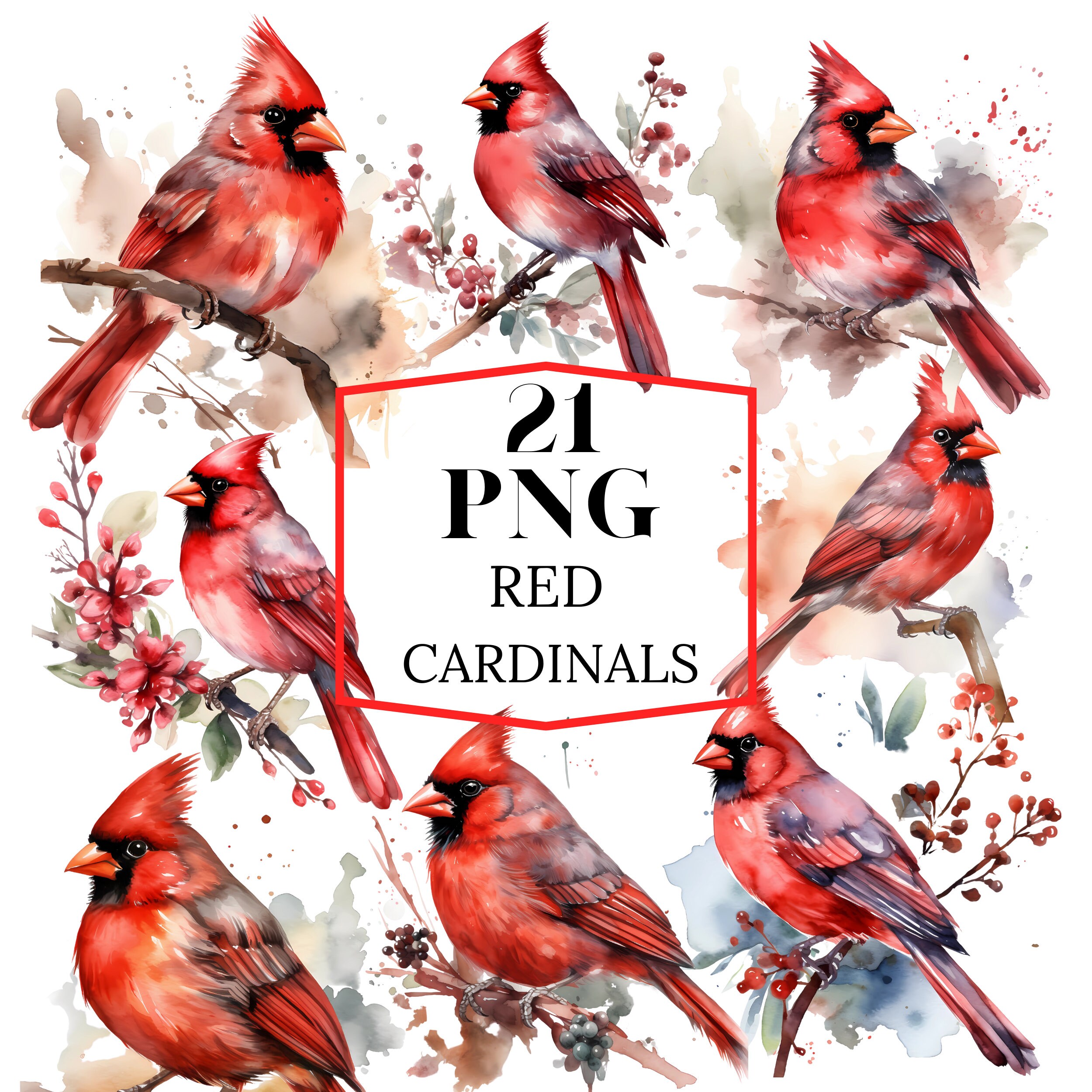 Watercolor Red Cardinal Bird PNG Clipart, 21 High-quality Images ...
