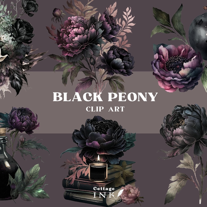Peony Clipart - Etsy