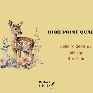 Baby Deer Clipart Bundle, Cute Baby Deers, Baby Fawns PNG, Forest ...