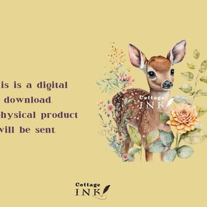 Baby Deer Clipart Bundle, Cute Baby Deers, Baby Fawns PNG, Forest ...