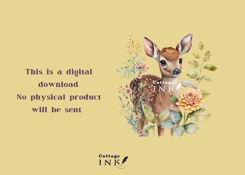 Baby Deer Clipart Bundle, Cute Baby Deers, Baby Fawns PNG, Forest ...