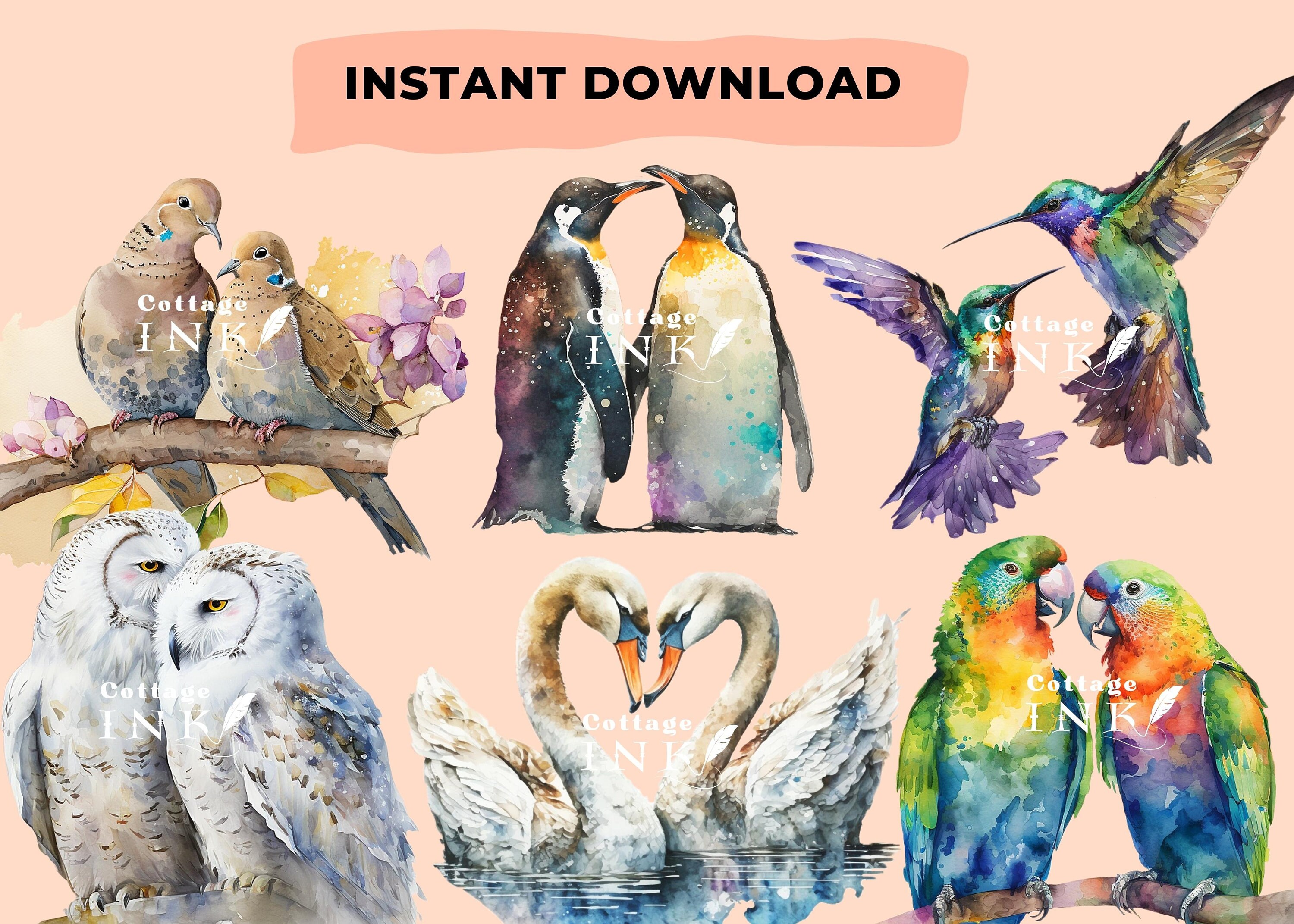 Love Birds Clipart Bundle, Watercolor Valentines Birds PNG, Romantic ...