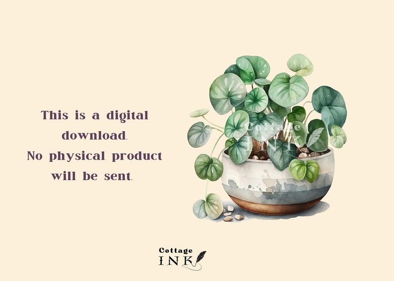 Watercolor Potted Plants Clipart Bundle, Boho House Plants PNG ...