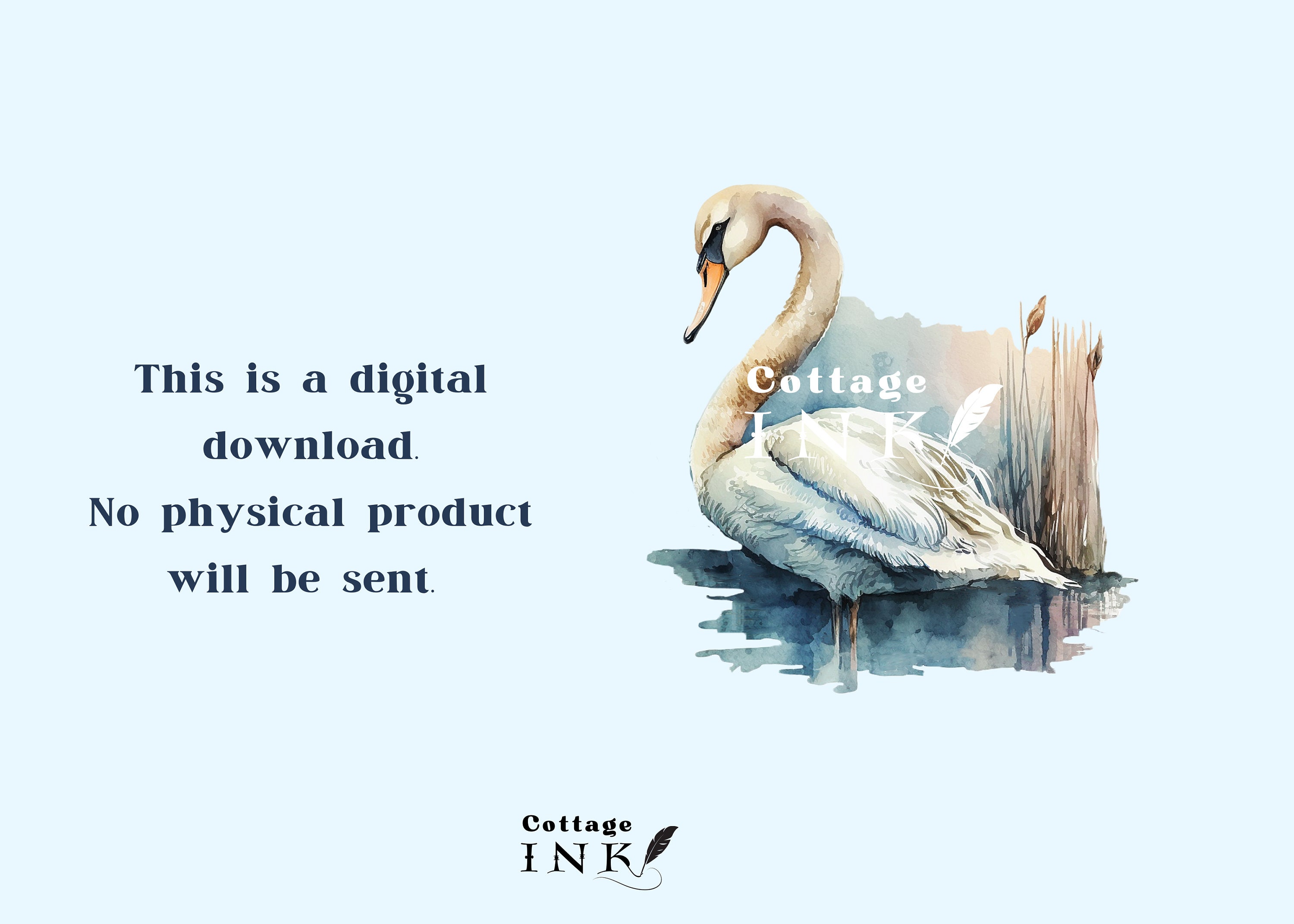 Cottagecore Birds Clipart Bundle, Watercolor Birds PNG Cliparts, Forest ...