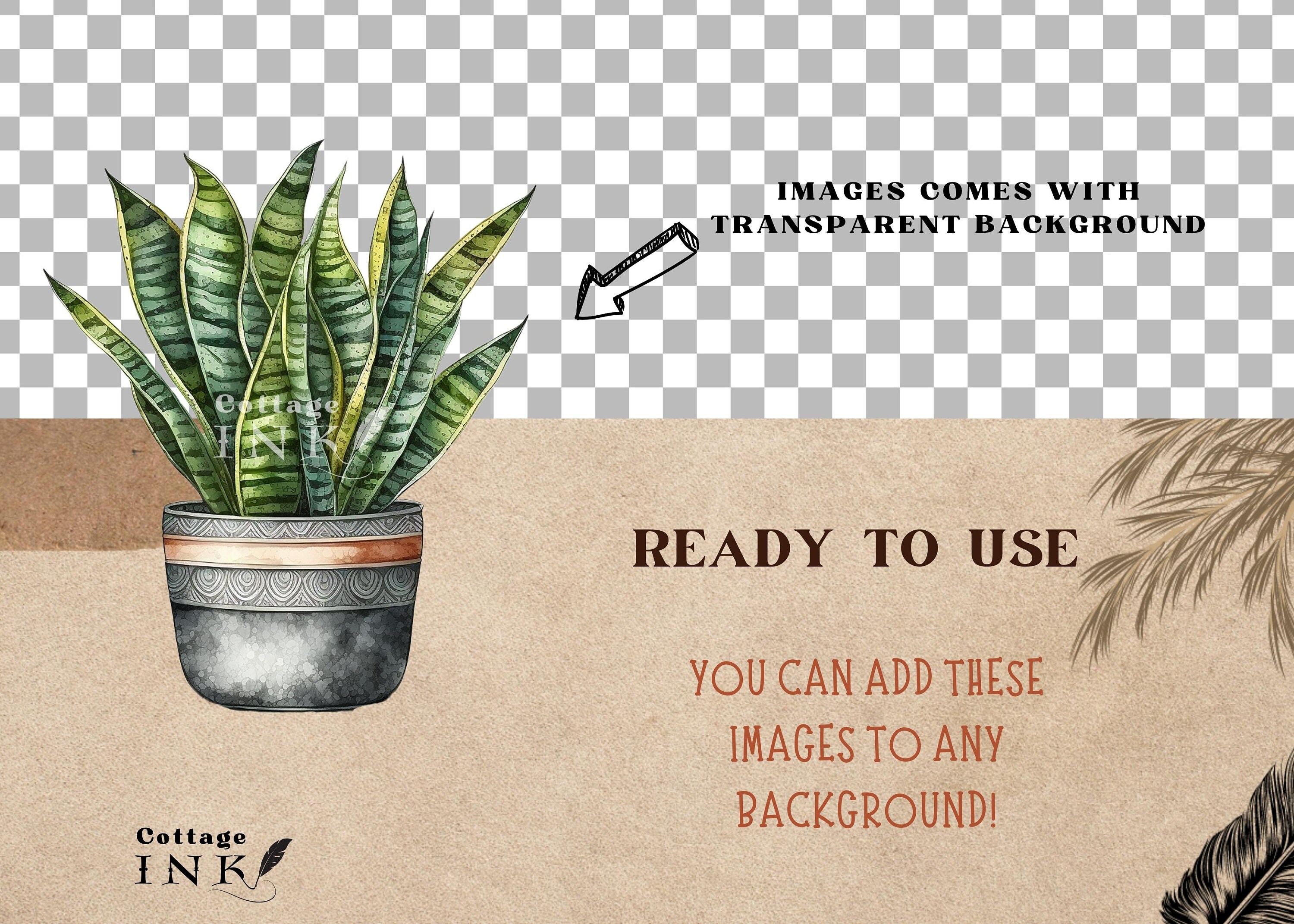 Watercolor Potted Plants Clipart Bundle, Boho House Plants PNG ...