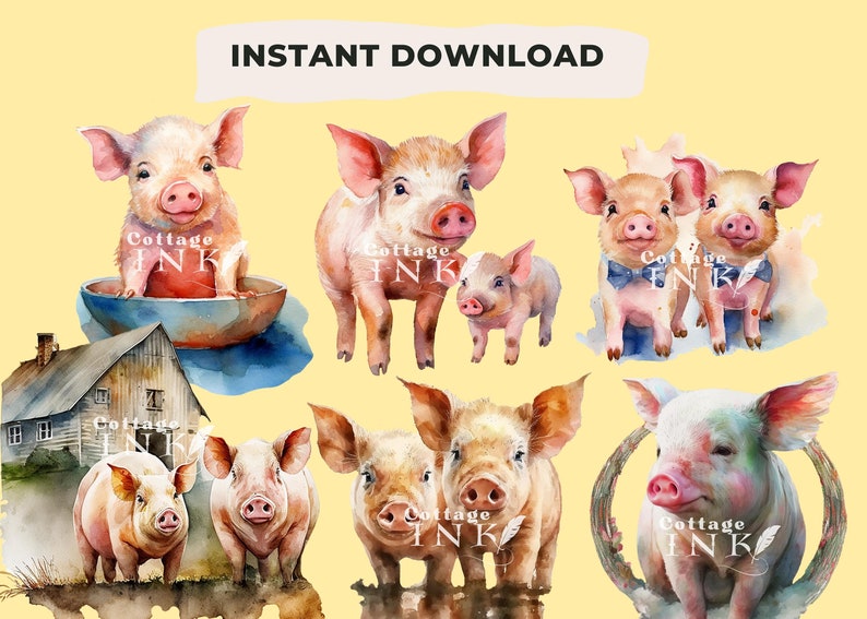 Watercolour Farm Pigs Clipart Bundle Baby Piglet Clipart - Etsy