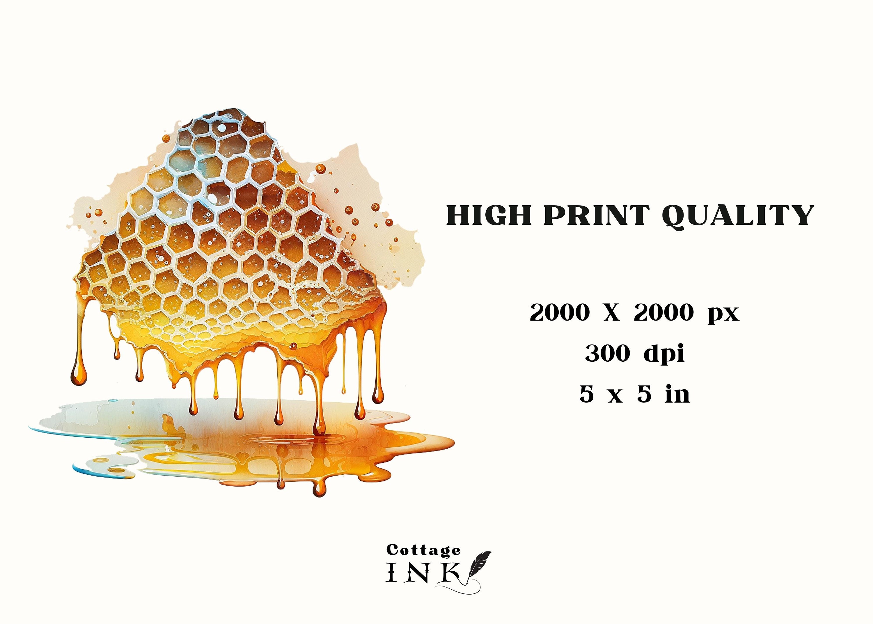 Watercolor Honey Bee Clipart, Spring Garden Beehive, Honeycomb Drips ...