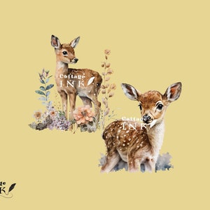 Baby Deer Clipart Bundle, Cute Baby Deers, Baby Fawns PNG, Forest ...