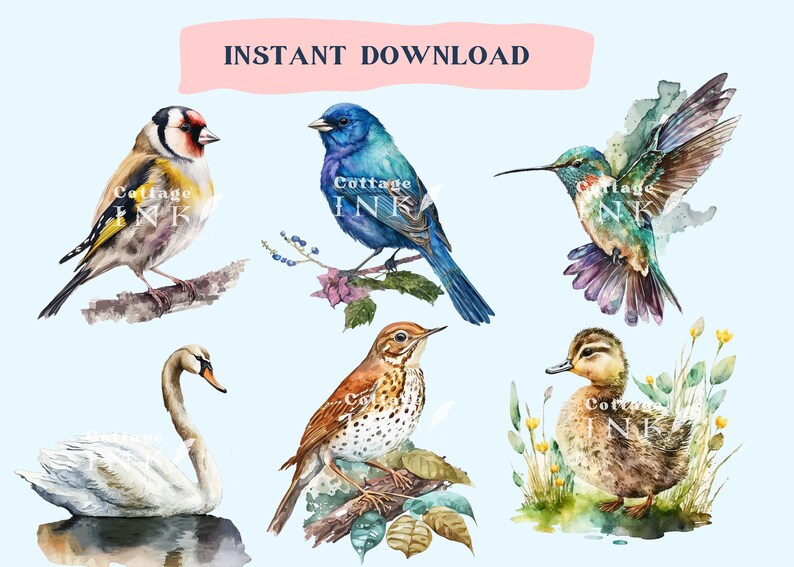 Cottagecore Birds Clipart Bundle, Watercolor Birds PNG Cliparts, Forest ...