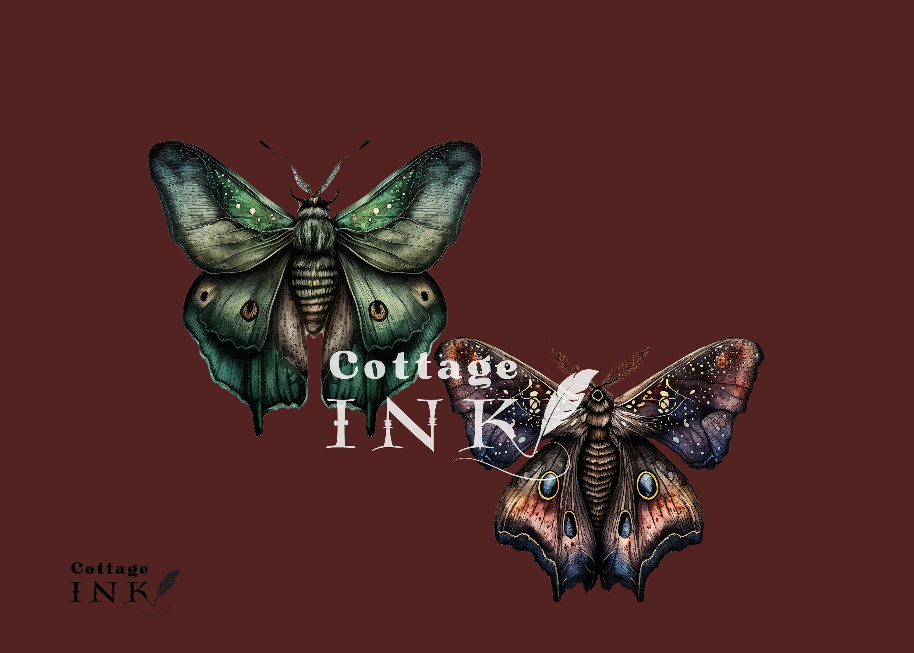 Watercolour Mystical Moth Clipart Bundle, Gothic Moth Butterfly PNG ...
