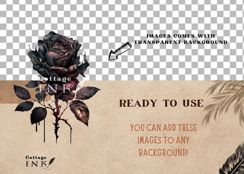 Black Roses Clipart Bundle, Watercolor Dark Academia Clip Arts PNG ...