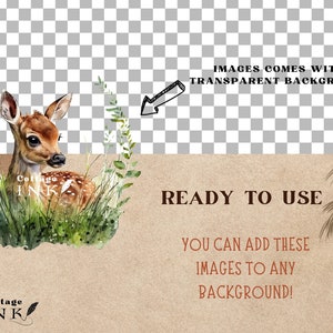 Baby Deer Clipart Bundle, Cute Baby Deers, Baby Fawns PNG, Forest ...