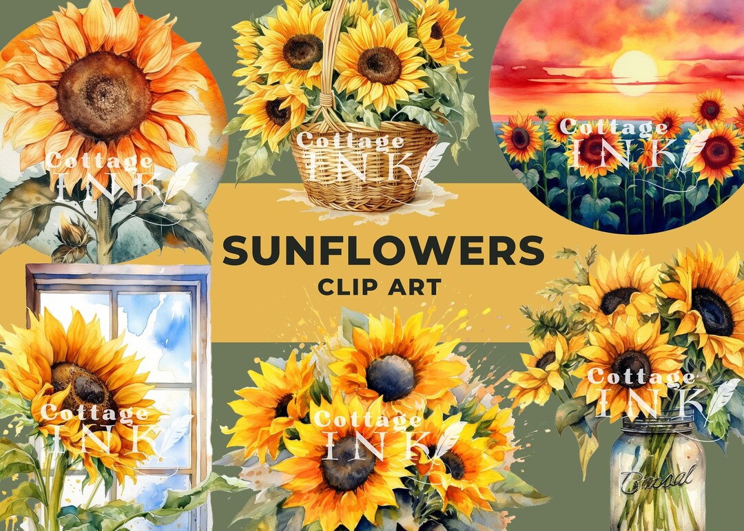 Watercolor Sunflower Clipart Bundle, Fall Summer Sunflower PNG, Floral ...