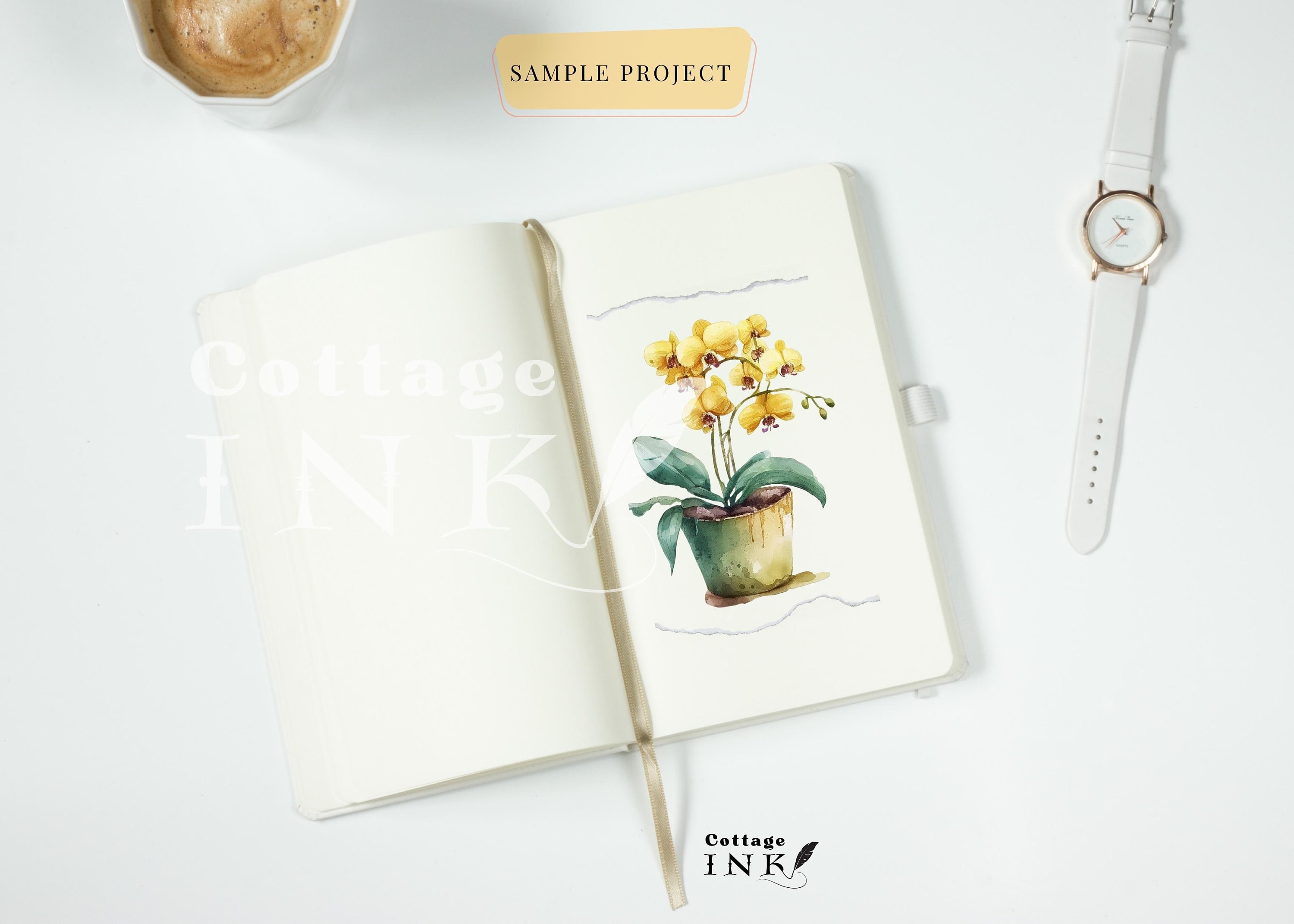 Watercolor Potted Plants Clipart Bundle, Boho House Plants PNG ...