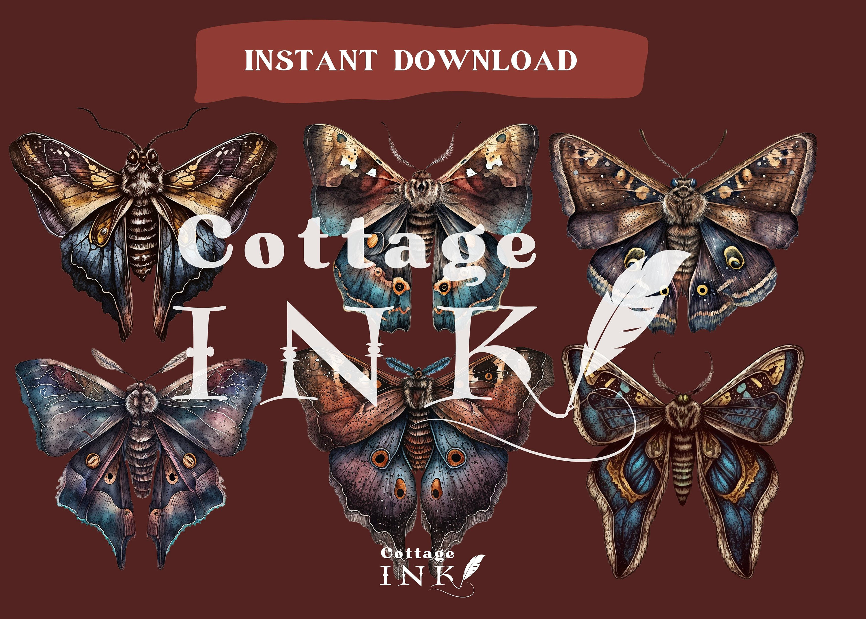 Watercolour Mystical Moth Clipart Bundle, Gothic Moth Butterfly PNG ...