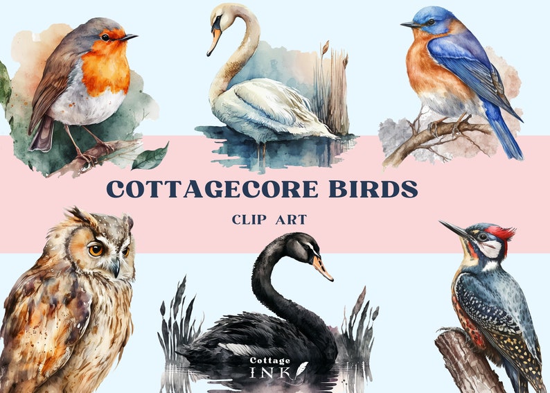Cottagecore Birds Clipart Bundle, Watercolor Birds PNG Cliparts, Forest ...